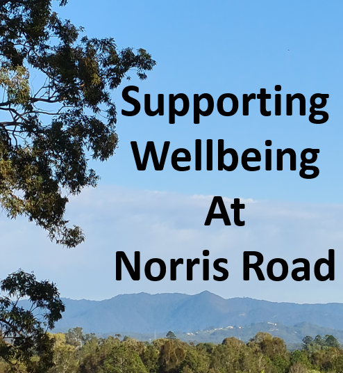 Wellbeing at NRSS
